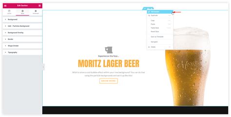 introducing dainty particle backgrounds for elementor
