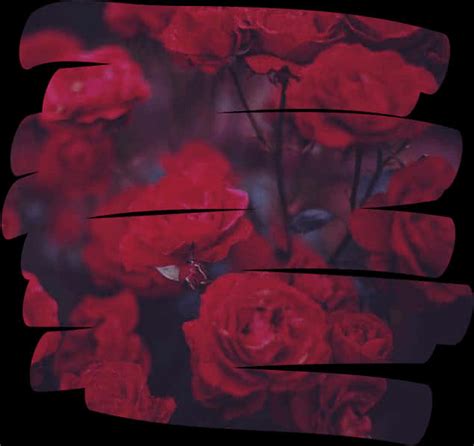 100 Aesthetic Overlays Png Images