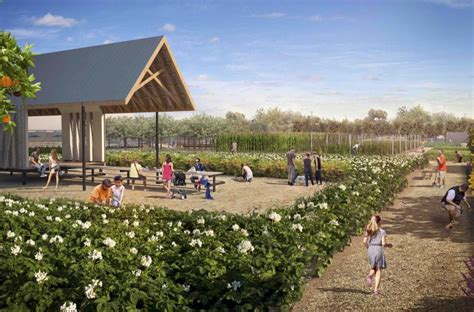 A Farm In The City Aric Mei And Matthew Moores Growing Vision Java