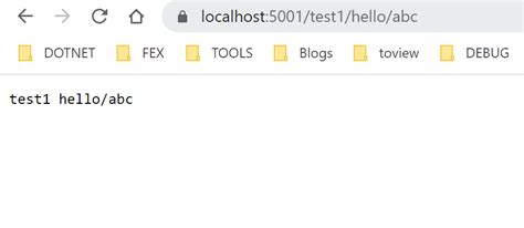 Question Catch All Route Difference Between And Issue Dotnet Aspnetcore