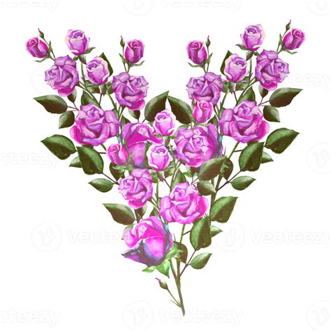 Ilustración De Rosal 11149148 Png