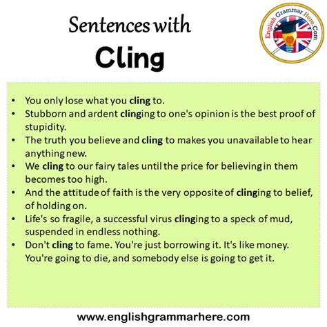 Sentences With Cling Cling In A Sentence In English Sentences For