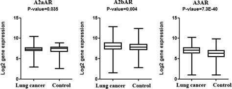 Evaluation Of Log2 Gene Expression Of Adenosine Receptors Downloaded