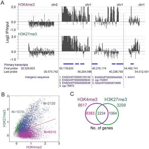 H3k4me3 And H3k27me3 Enrichment Profiles In Zf4 Cells A Distinct Download Scientific Diagram