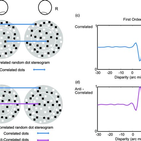 A Image Pair For A Correlated Random Dot Stereogram Where The Outer