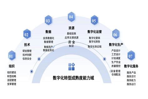 [大数据白皮书]数字化转型成熟度模型与评估 免费下载