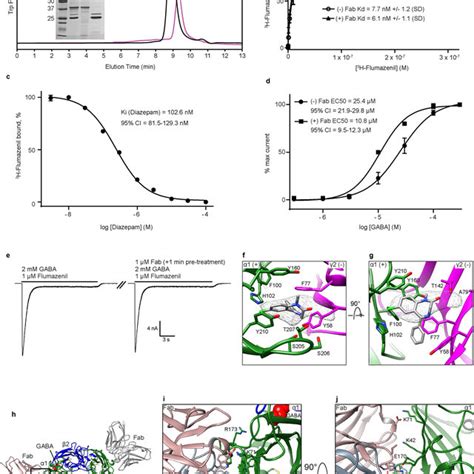 Cryo Em Image Processing Procedure A Representative Cryo Electron
