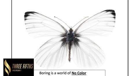 Three Fifths Magazine May Colorblind Issue Three Fifths