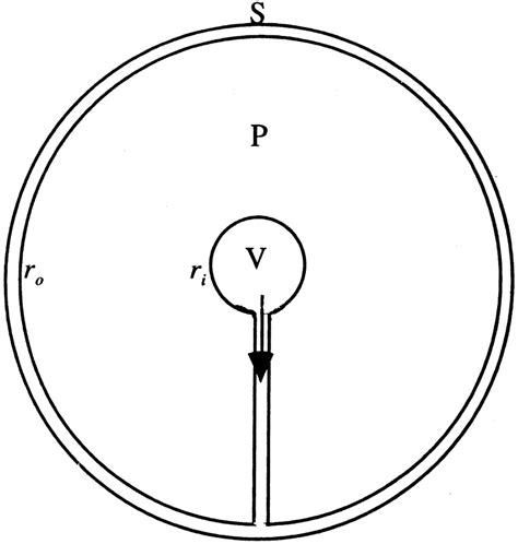 Section Through The Spherical Model Of The Brain S Is The Skull P