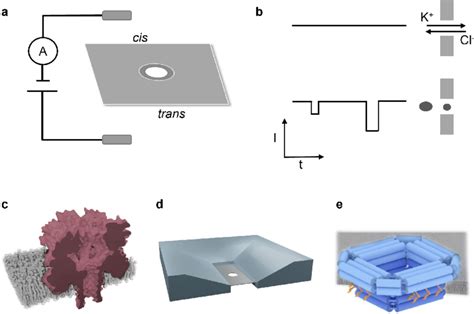 Schematic Representations Of Nanopore Sensing And Nanopore Systems A