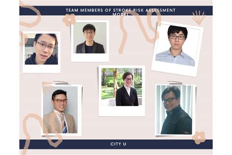 Stroke Risk Assessment Model Hk Tech 300