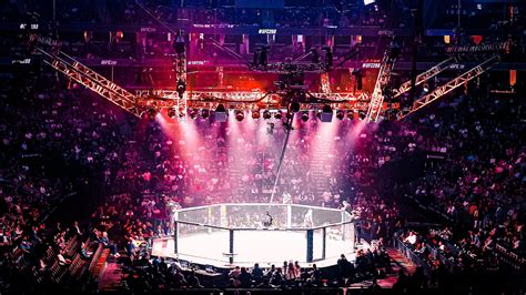Clipart Octogone Mma