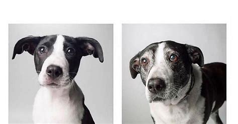 Beond Beautiful Sure That These Pics Have Been Posten Already A