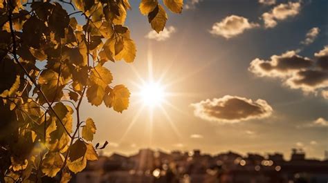Sunny Weather Photography Images Free Download On Freepik