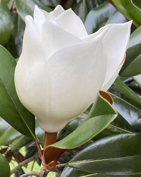 Reginald Bryant Bracey August 25 1948 May 22 2024