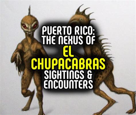 The El Chupacabras Phenomenon Began And Is Still Prominent On The