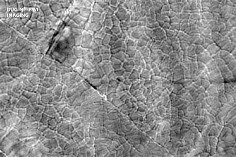 Dug Multi Parameter Fwi Imaging Dug Technology