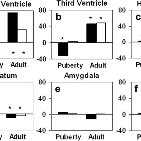 Comparison Of Forebrain Structural Volumes The Raw Volumetric Download Scientific Diagram