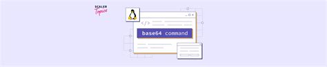 Base Command In Linux Scaler Topics