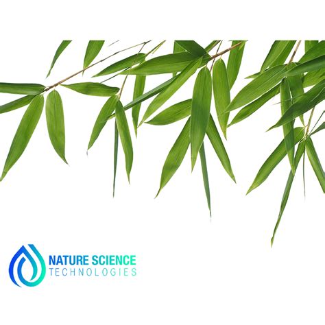 Botanical Extracts Archives Nst Chemicals