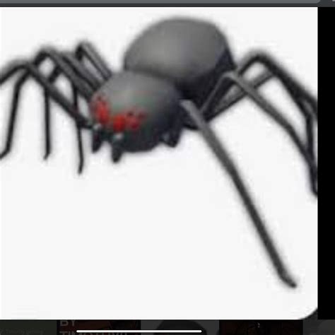 Timothy The Spider Youtube