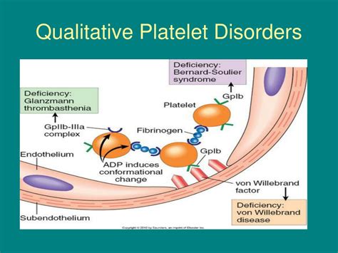 Ppt Hemostasis Powerpoint Presentation Free Download Id9450167