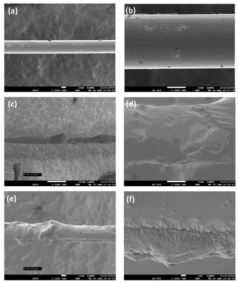 Biodepolymerization Of Polyamide Fibers Using Yarrowia Lipolytica As Whole Cell Biocatalyst