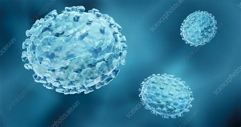 Smallpox Virus Particles Illustration Stock Image F0377141