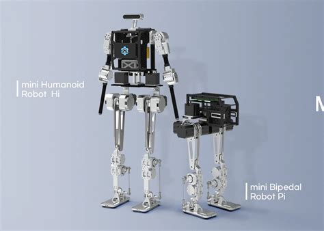 High Torque Robotics Mini π — двуногий робот работающий на базе Orange