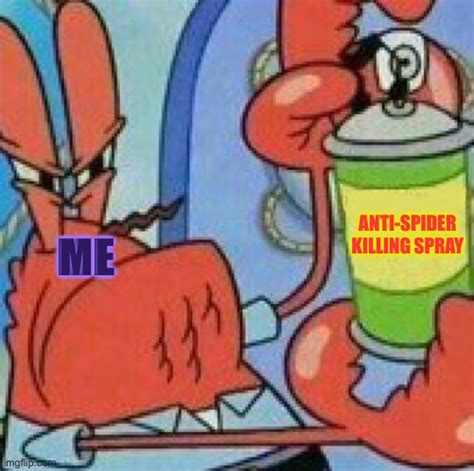When See I Spider Imgflip