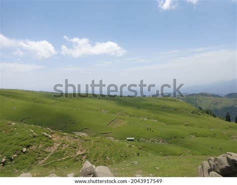 54 Imágenes Fotos De Stock Objetos En 3d Y Vectores Sobre Toli Peer
