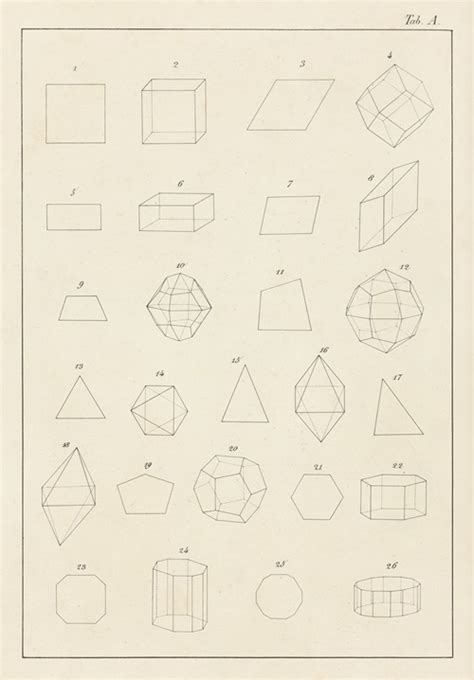 The Mineral Kingdom Artvee
