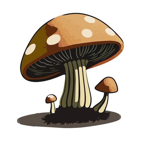 화이트 벡터 일러스트 레이 션에 고립 된 버섯 만화 그리기 프리미엄 벡터