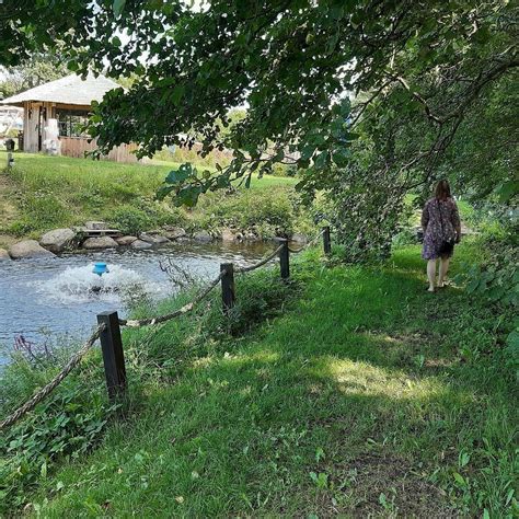 Valkla Forell Restaurant Reviews Photos And Phone Number Tripadvisor