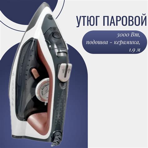 Утюг Reoka утюг/отпариватель/паровой/антипригарный/мощный/с ...