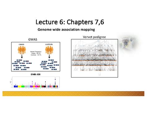 Ansc 3213 2024 Genetics Lecture 6 Pedigree Analysis And Gwas Genome