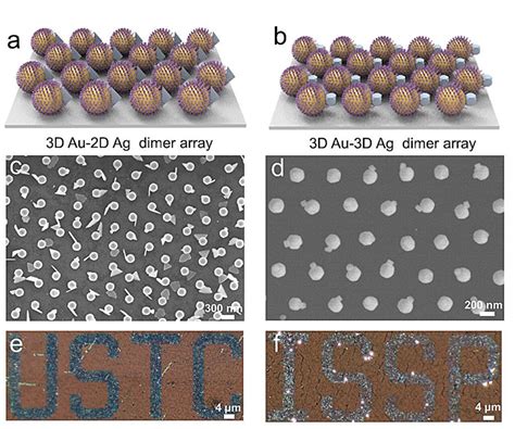 researchers realize controlled synthesis of au ag heterodimer arrays