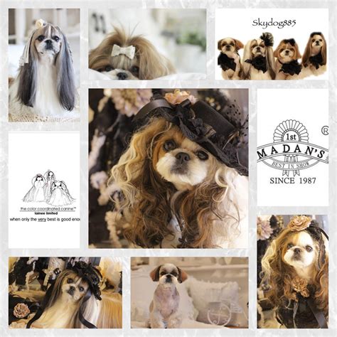 Candy Doll Candy Doll Added A New Photo