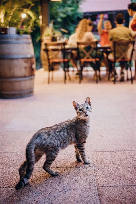 Split Cooking Class Wine Tasting The Art Of Wine