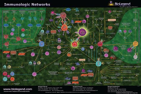 Centre For Immunodeficiency Dr Hilary Longhurst Dr Michael Rudenko
