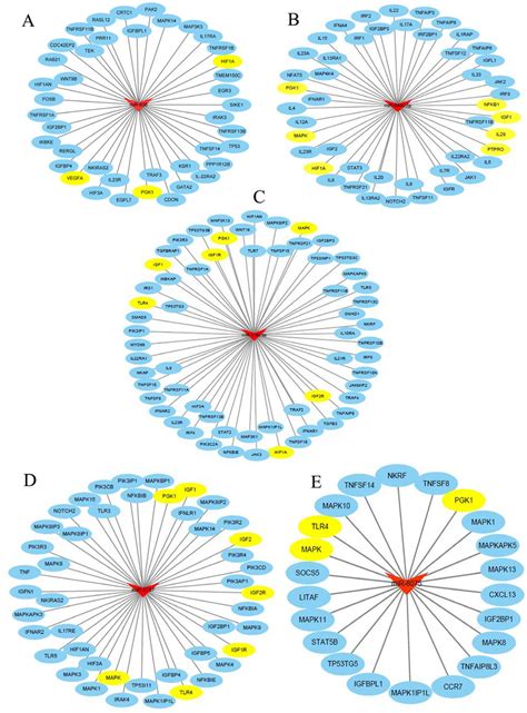 Bioinformatics Analysis For Potential Targeted Genes A The Targeted Download Scientific