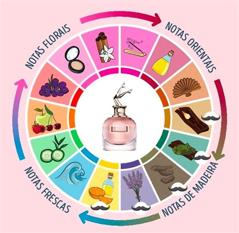 Guia Para Saber Tudo Sobre Perfumes