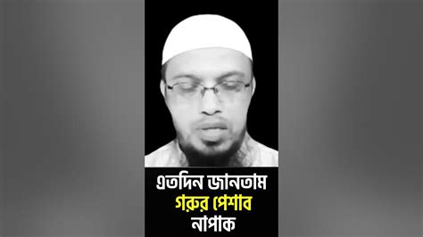এতদিন জানতাম গরুর পেসাব নাপাক Sheikh Ahmadullah Ahmadullah শায়খ আহমাদুল্লাহ প্রশ্নের উত্তর