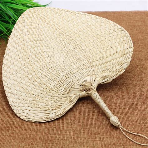 蒲扇子第2页大山谷图库