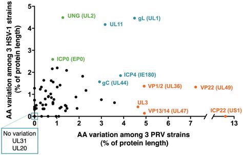 Inter Strain Diversity In Protein Coding Sequences In Prv As Compared