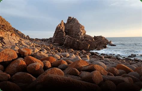 Redmi Note Pro Xiaomi Rom Nia