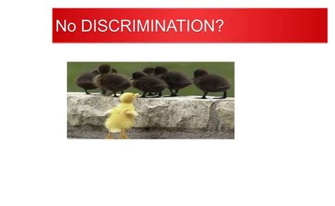 Lec I Pictorial Lecture1pptx