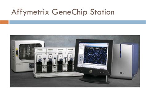 Ppt Affymetrix Genechip Array Station Powerpoint Presentation Free
