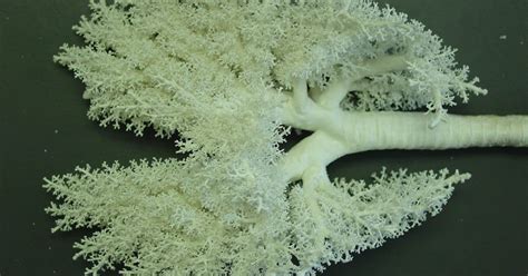 A Stoic Breviary Classical Wisdom In Daily Practice Fractals 41