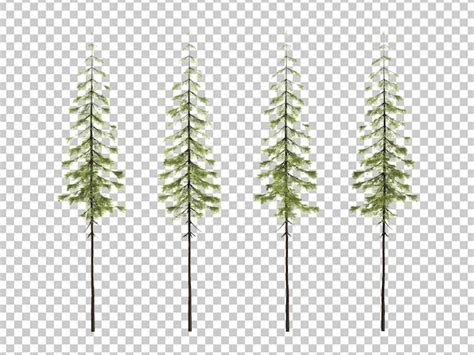 Premium Psd 3d Rendering Tree Isolated Cut Background